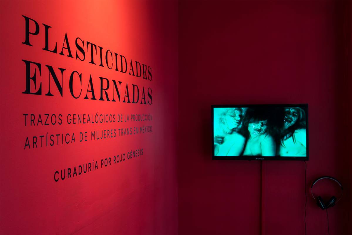 “Plasticidades Encarnadas”: una exposición intergeneracional de ...